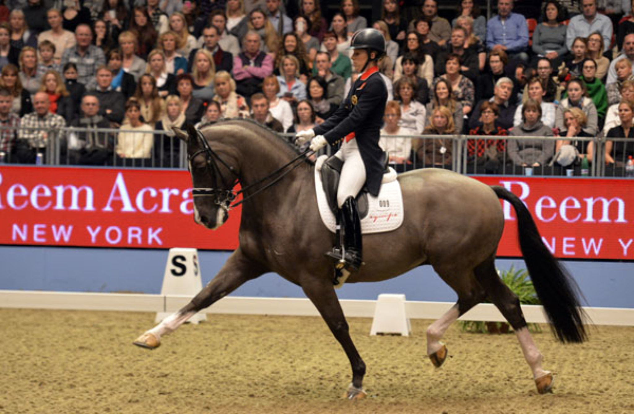 Valegro still atop Rankings - KWPN-NA