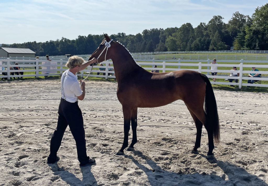 Report from the Road: Rocky Ridge Stables in Honeybrook, Pennsylvania ...