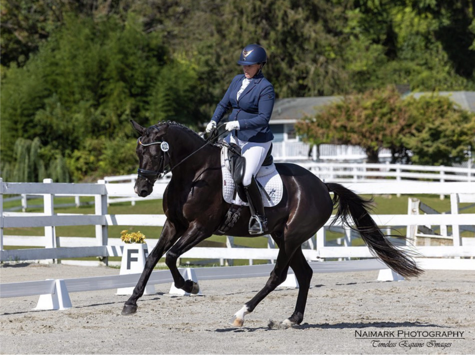 Report from the Road - On Course Riding Academy (NJ), September 24 ...