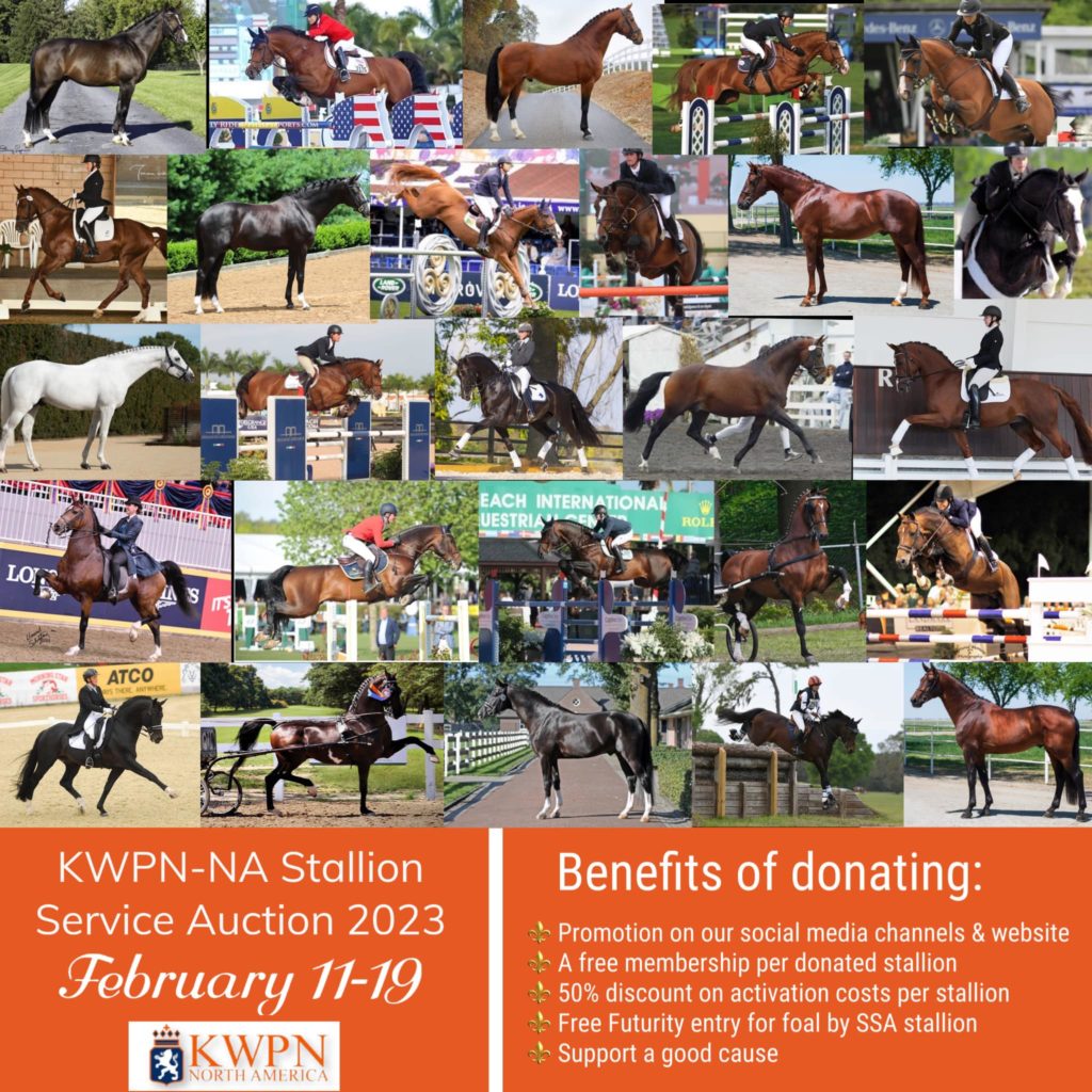 Stallion Service Auction 2023 - KWPN-NA