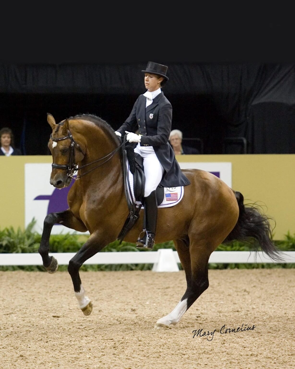 KWPN Predicates - KWPN-NA