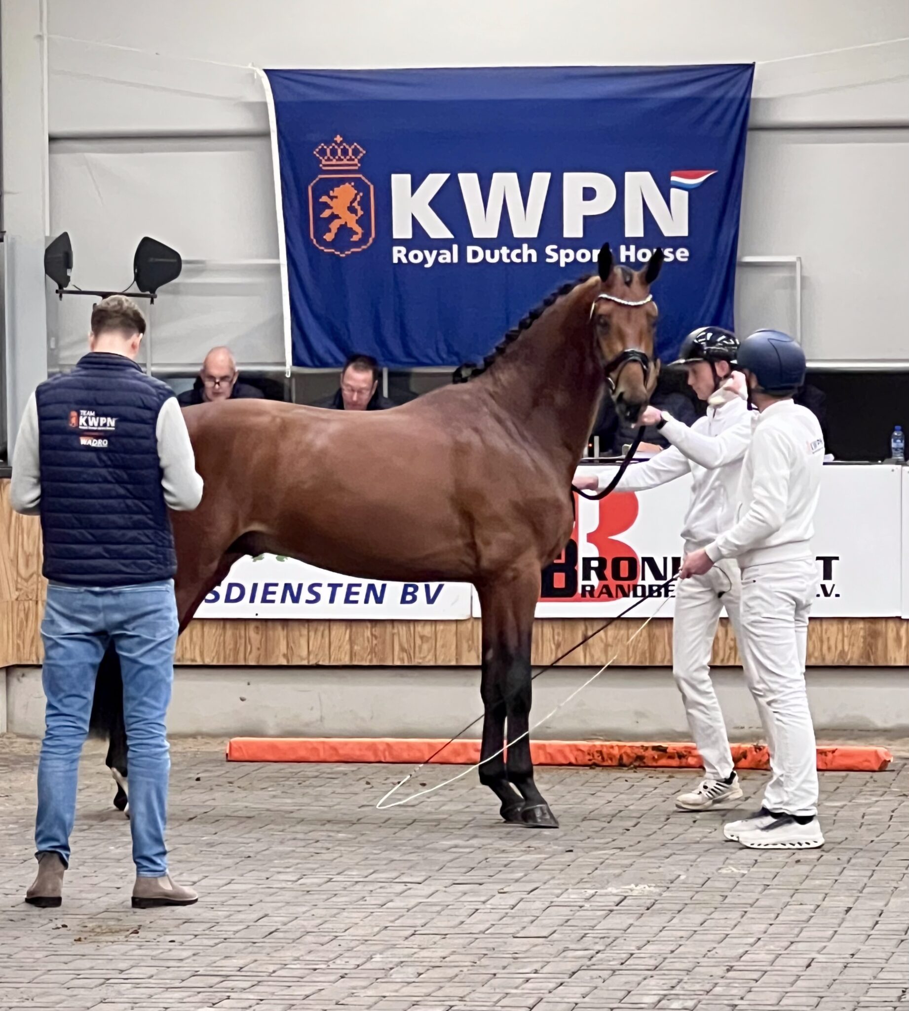 New Database - KWPN-NA